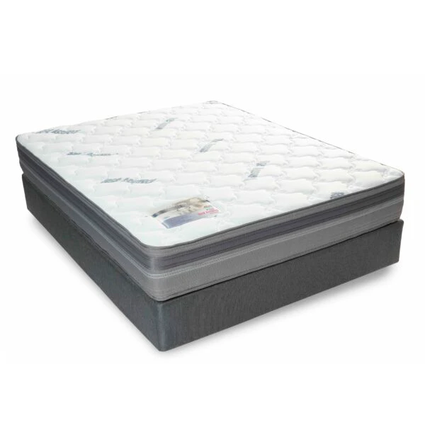 Rest Assured Somerset NT Bed Set (Universal Base) – BedBuysSA